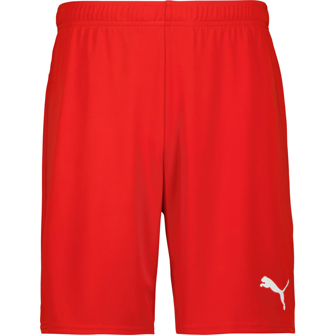 Puma teamGOAL Shorts Röd | INTERSPORT
